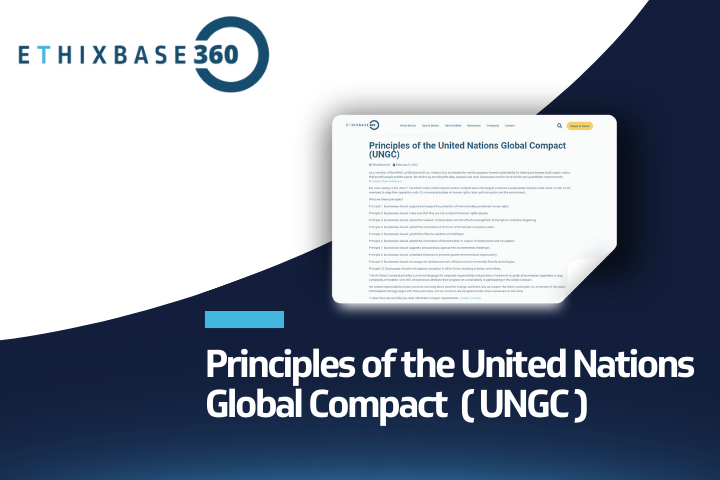 Principles of the United Nations Global Compact (UNGC) - Ethixbase360