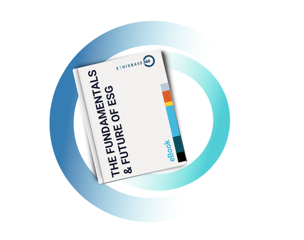 What We Do - Ethixbase360