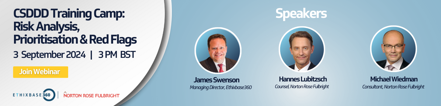 CSDDD Training Camp – Risk Analysis, Prioritisation & Red Flags ...