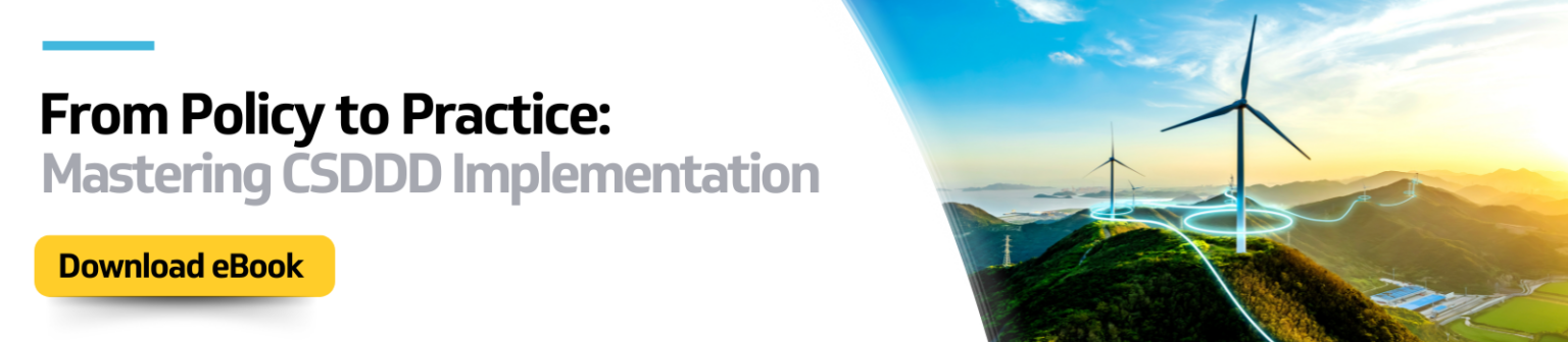 eBook: From Policy to Practice - Mastering CSDDD Implementation ...