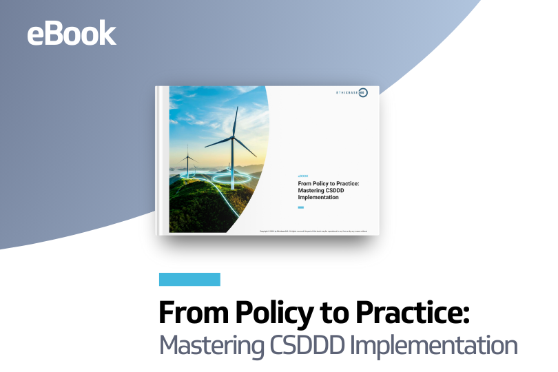 eBook: From Policy to Practice - Mastering CSDDD Implementation ...